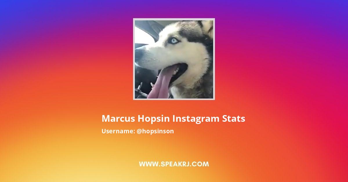 Marcus Hopsin Instagram Followers Statistics / Analytics - SPEAKRJ Stats