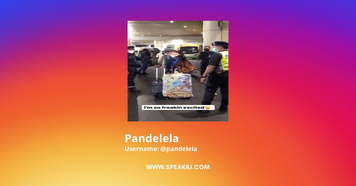 Pandelela Instagram Followers Statistics / Analytics - SPEAKRJ Stats