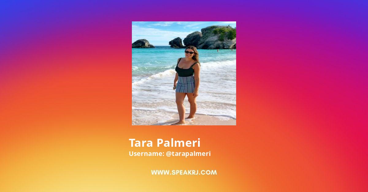 Tara Palmeri Instagram Followers Statistics / Analytics
