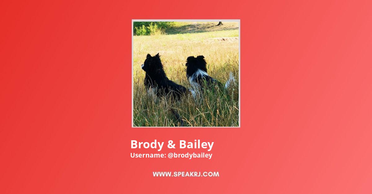 Brody & Bailey YouTube Channel Statistics / Analytics - SPEAKRJ Stats
