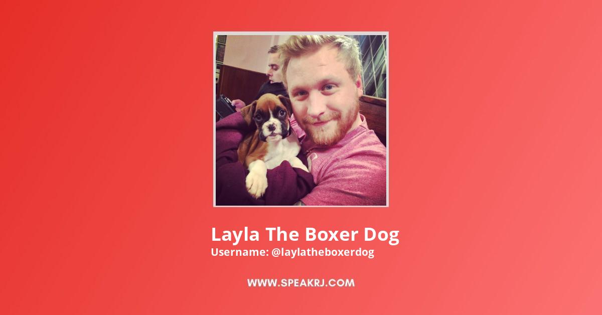 Layla The Boxer Dog YouTube Channel Statistics / Analytics - SPEAKRJ Stats