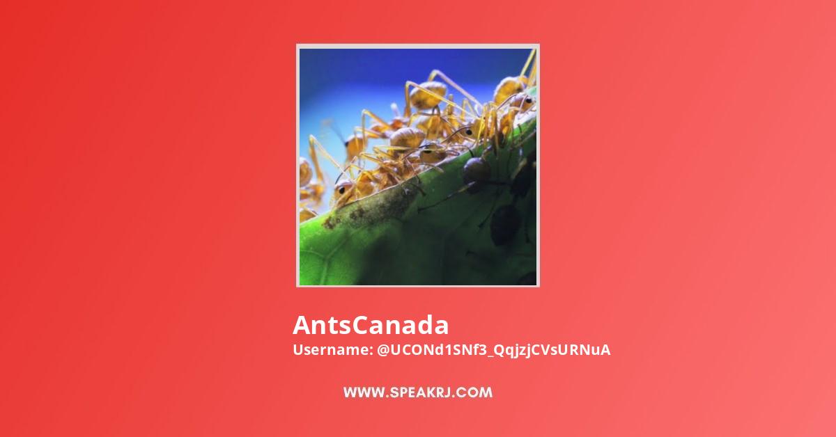 AntsCanada YouTube Channel Statistics / Analytics - SPEAKRJ Stats