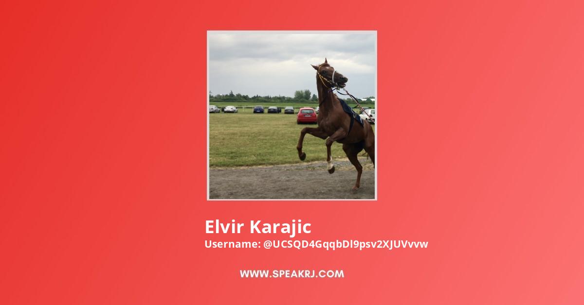 Elvir Karajic YouTube Channel Statistics / Analytics - SPEAKRJ Stats